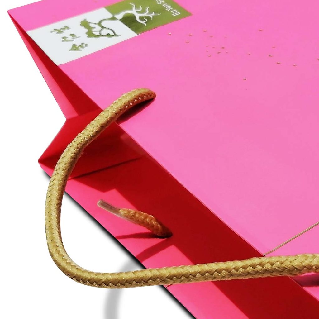 Eu Yan Sang CNY Paper Bag | Premium Packaging for Your Celebrations ...