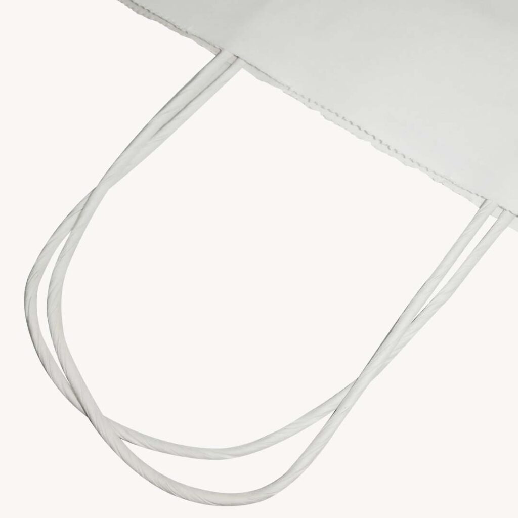 Buy Ban Heong Paper Bag | Premium Quality | Stylish Designs